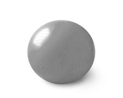 Fitness Stability Ball | SportsEquipmentCanada